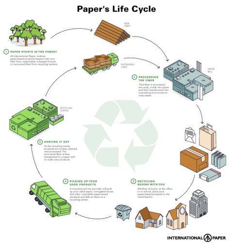 Lifecycle of Recycled Paper: Wood Fiber to Pulp to Recycled